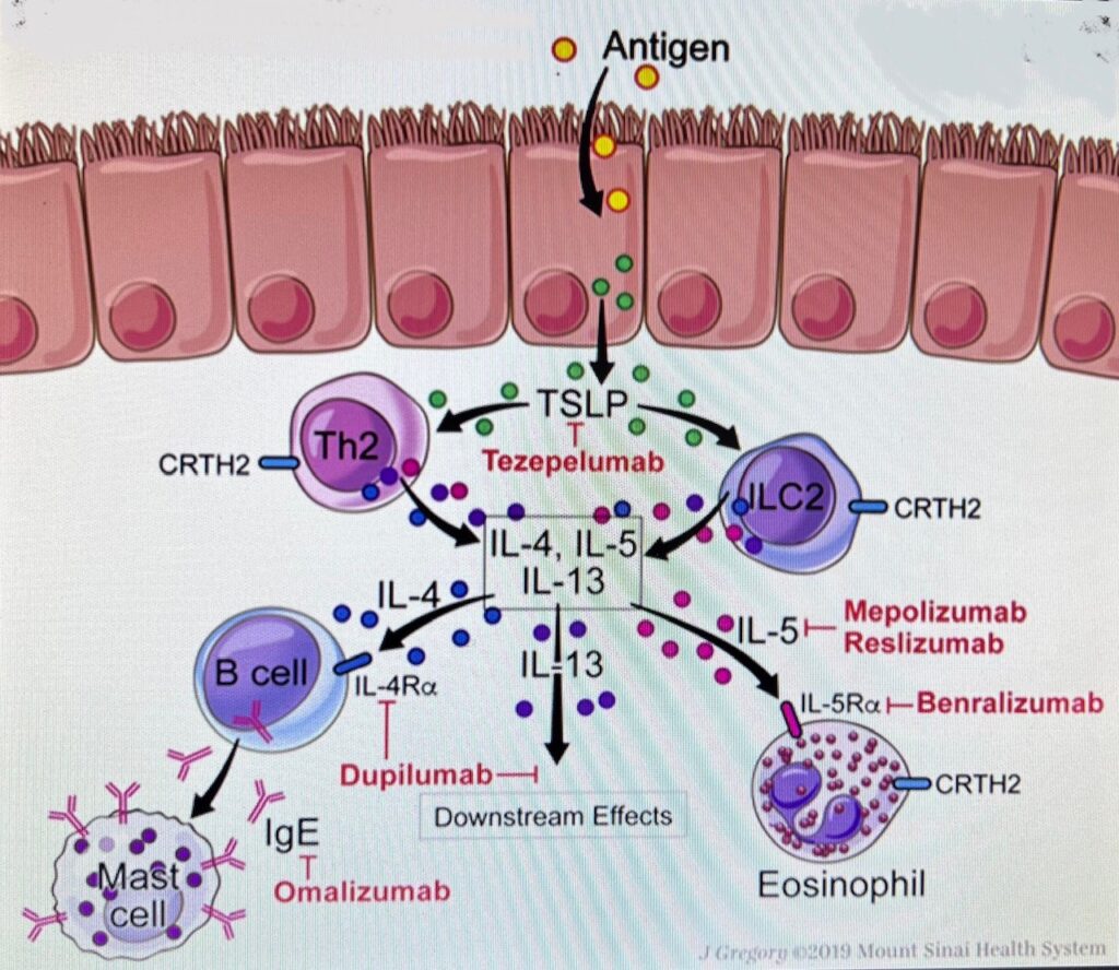 Biologic therapy for asthma - North Texas Allergy & Asthma Center